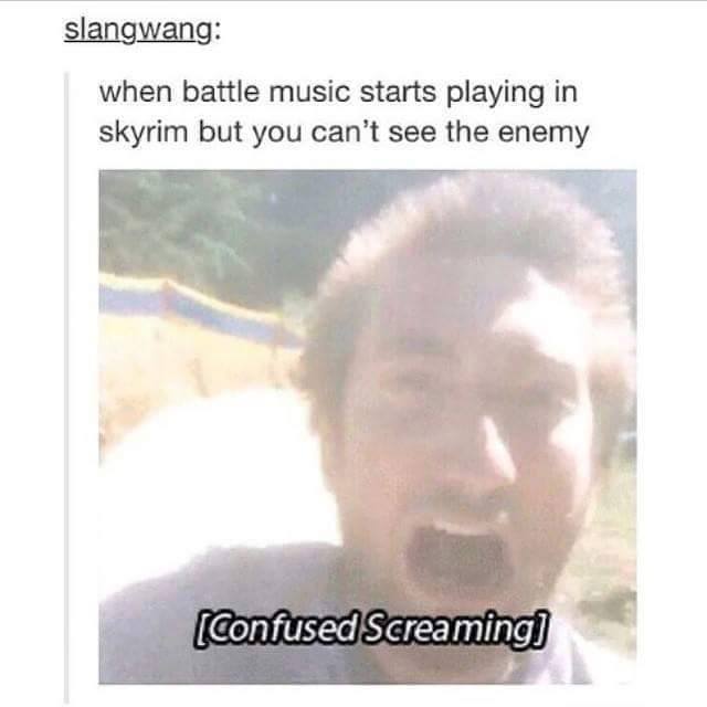 Descriptive Noise Memes