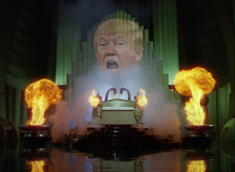 Donald Trump the Grand Wizard of the GOP | Donald Trump | Know Your Meme