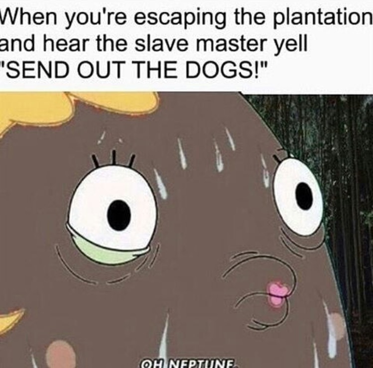 Slavery problems | Oh Neptune | Know Your Meme