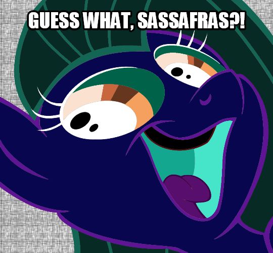 Sassafras Memes
