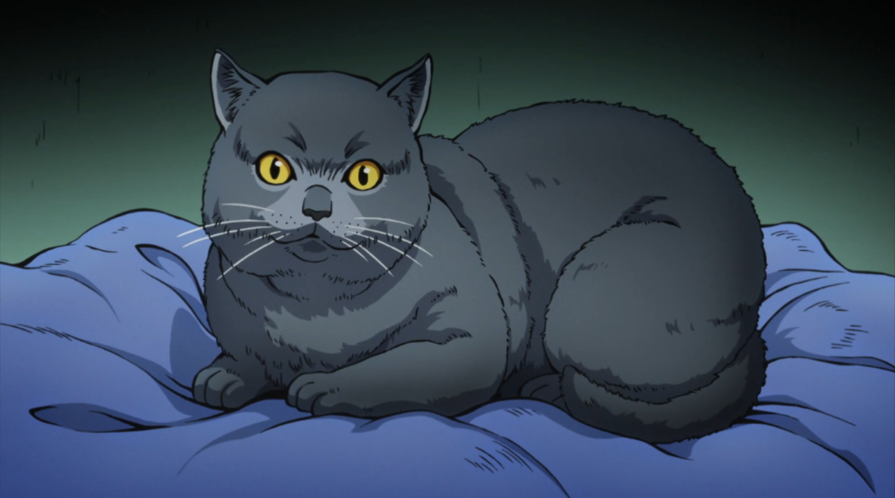 View topic - finally done - Chicken Smoothie