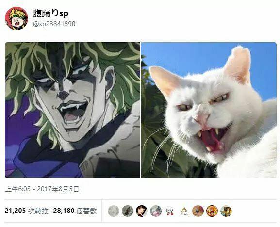 Dio in cat form | JoJo's Bizarre Adventure | Know Your Meme