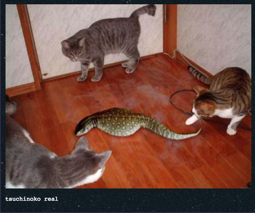 Tsuchinoko the snek : r/Sneks