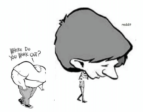 reddit | Where do you work out? At the library | Know Your Meme