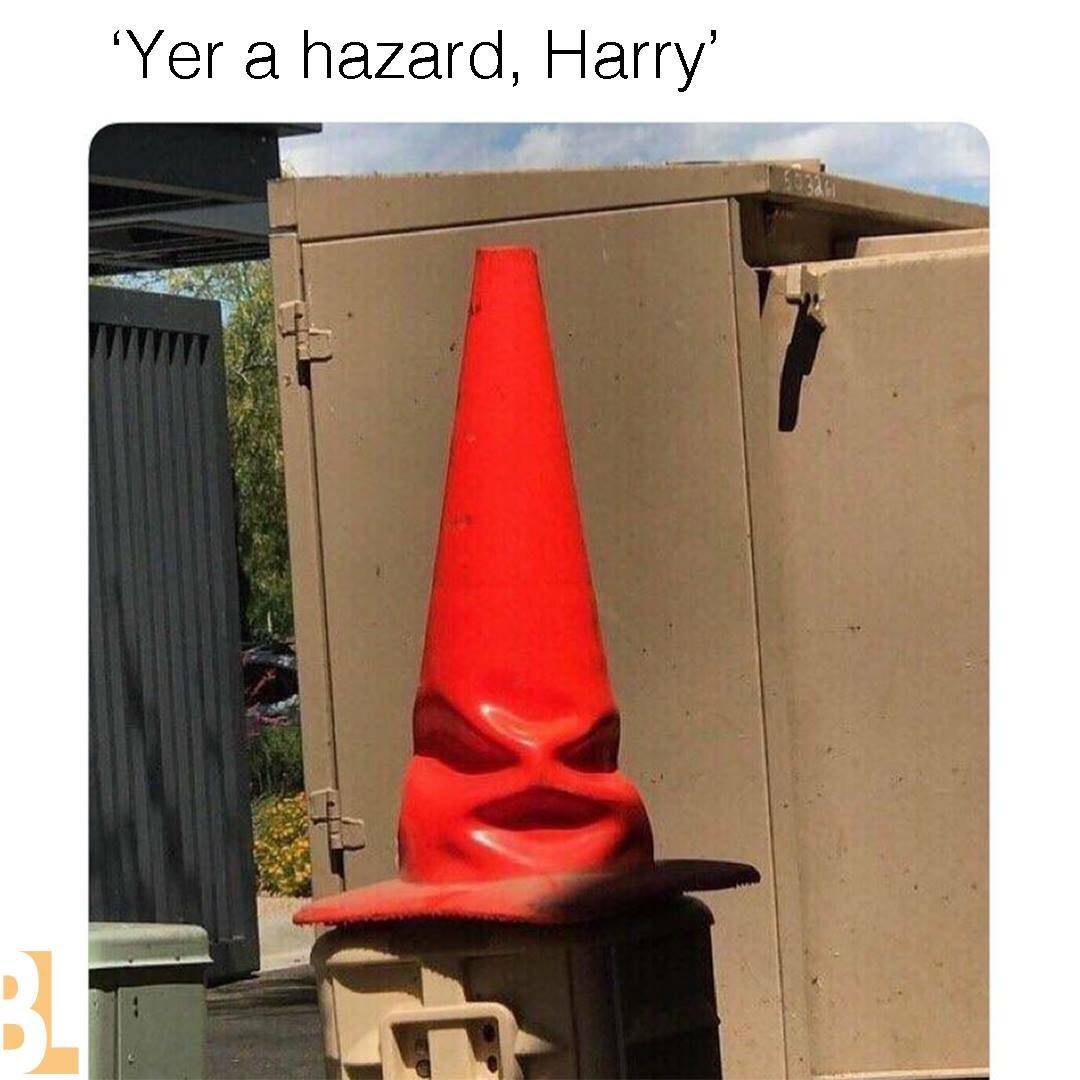 Yer a hazard Harry | Harry Potter | Know Your Meme